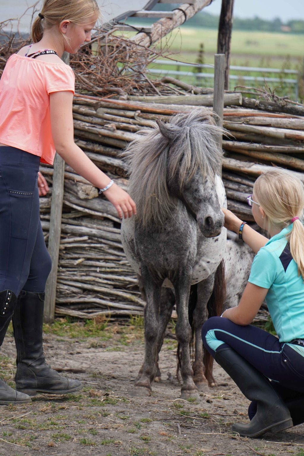 Ponykamp 2022 – Manege Warnaar